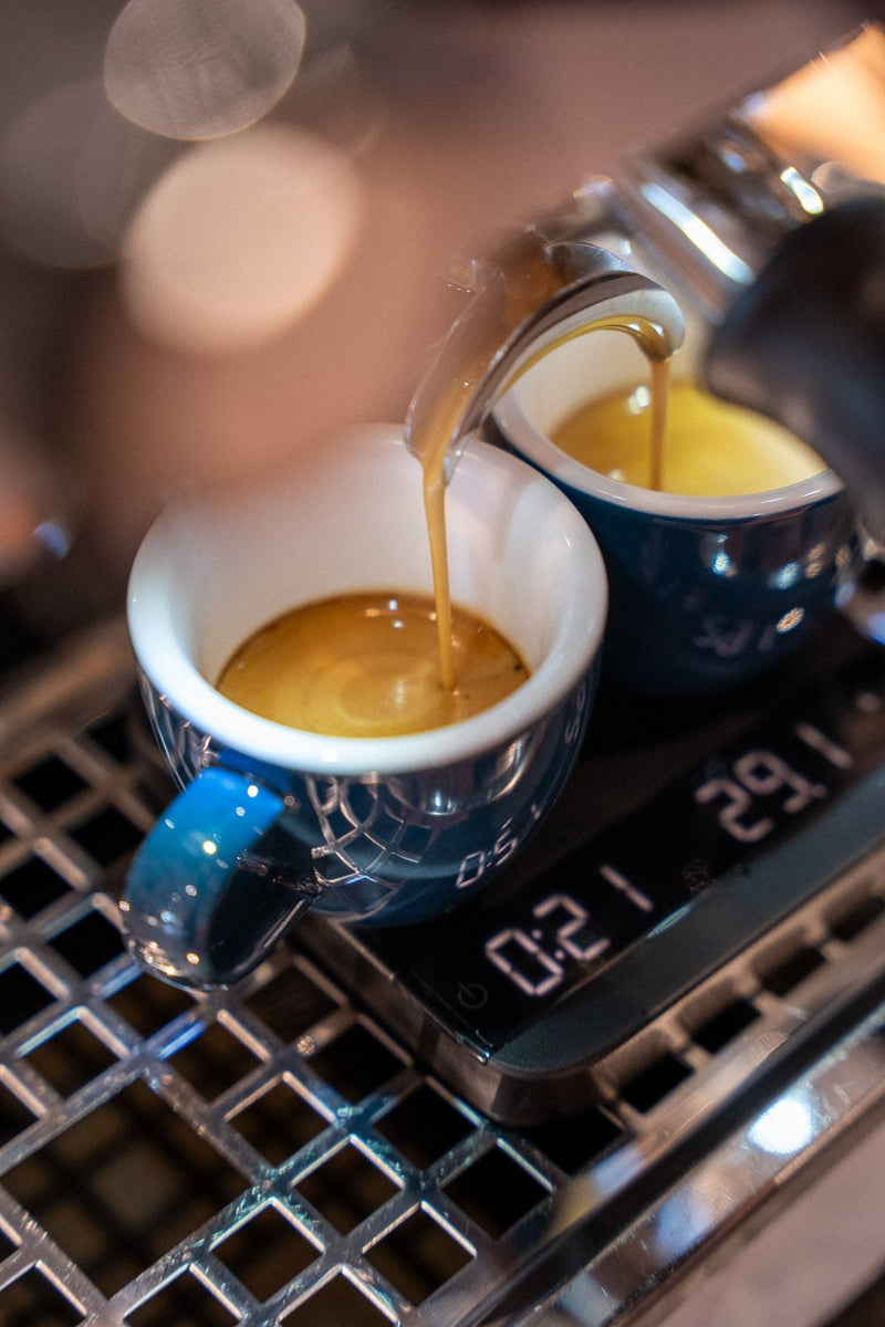 ESPRESSO – Optimist Coffee